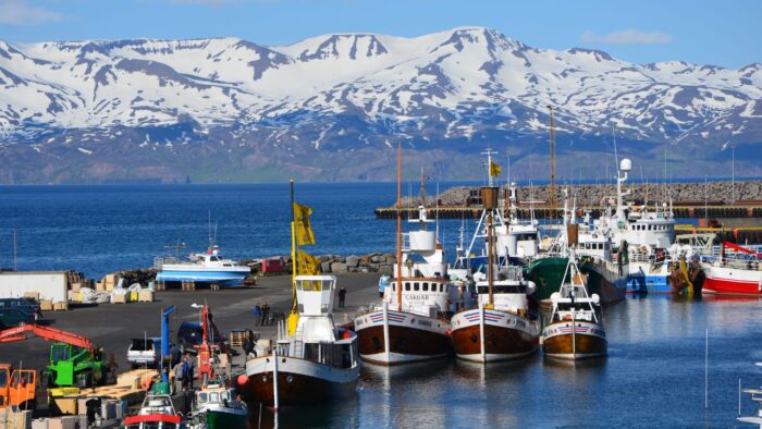 Northern Wonders: Discover the Top 15 Gems of North Iceland - Trips in ...